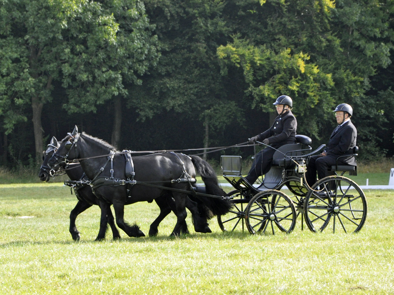 2016 - National Carriage Driving Championships - Bennington Carriages