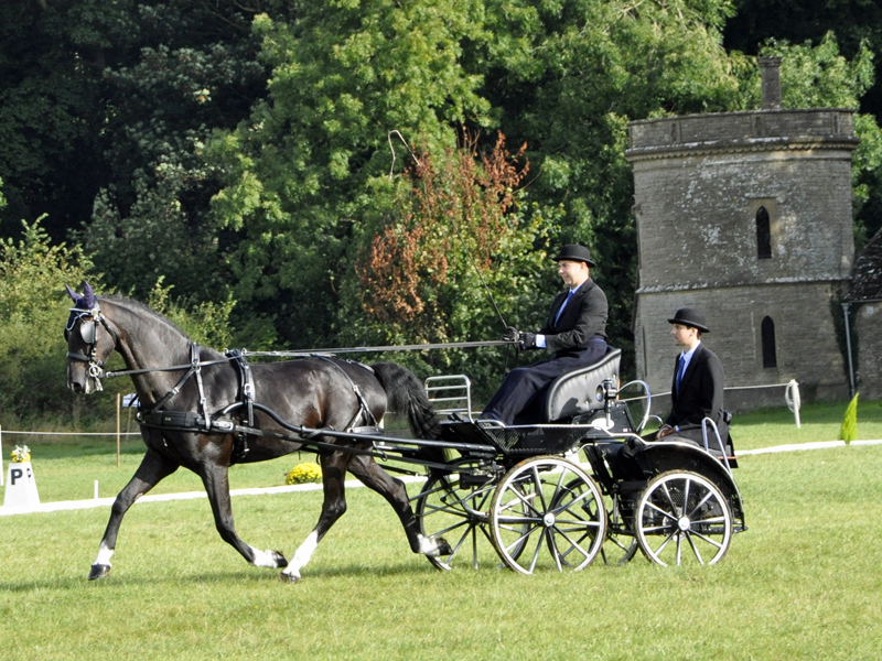 2016 - National Carriage Driving Championships - Bennington Carriages