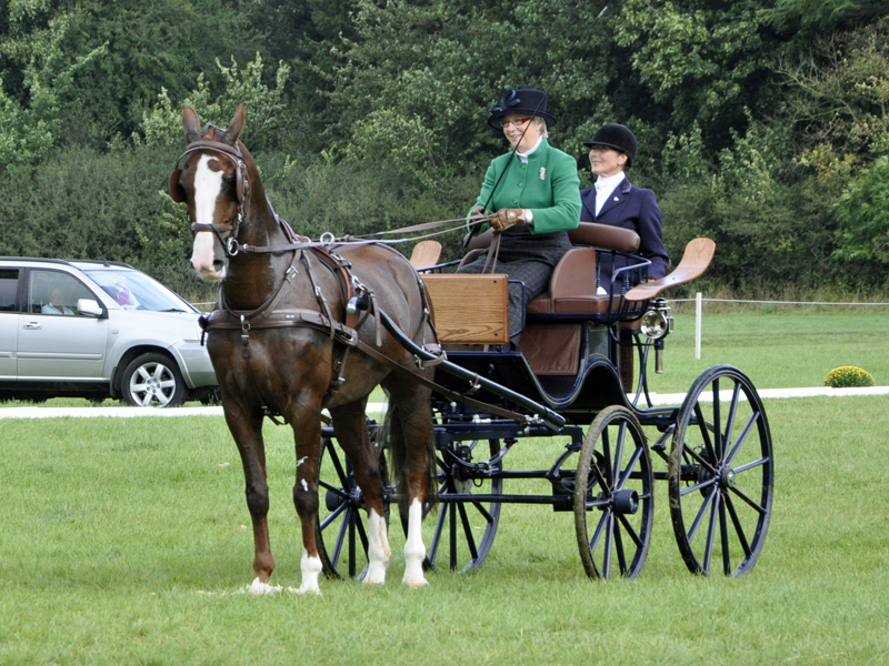 2016 - National Carriage Driving Championships - Bennington Carriages