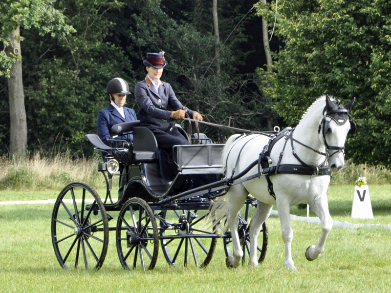 2016 - National Carriage Driving Championships - Bennington Carriages
