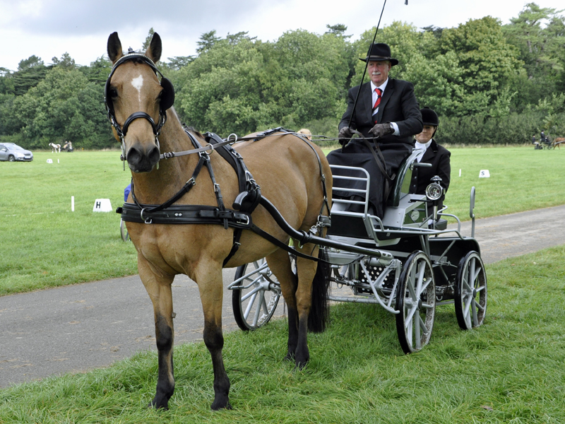 2016 - National Carriage Driving Championships - Bennington Carriages