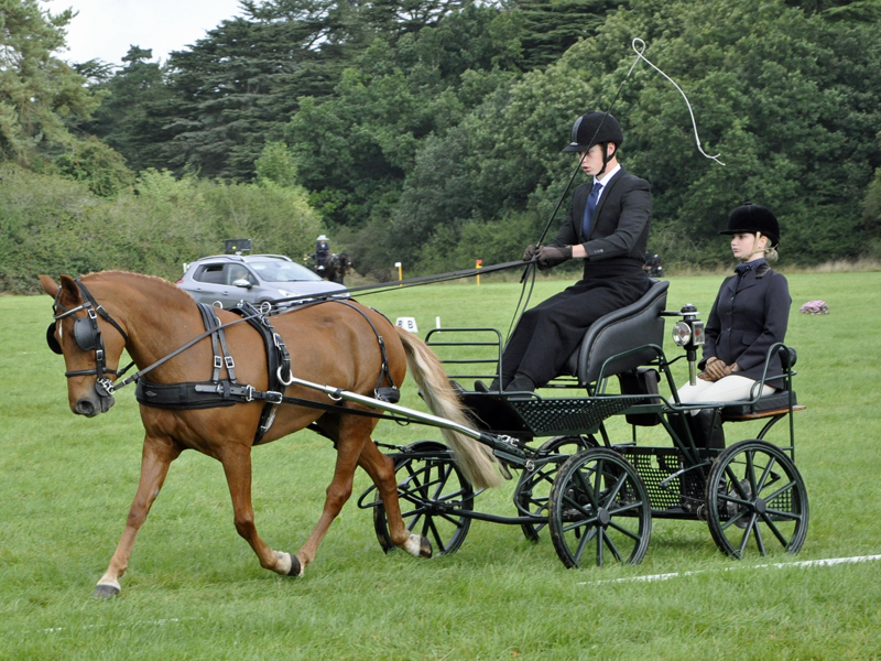 2016 - National Carriage Driving Championships - Bennington Carriages