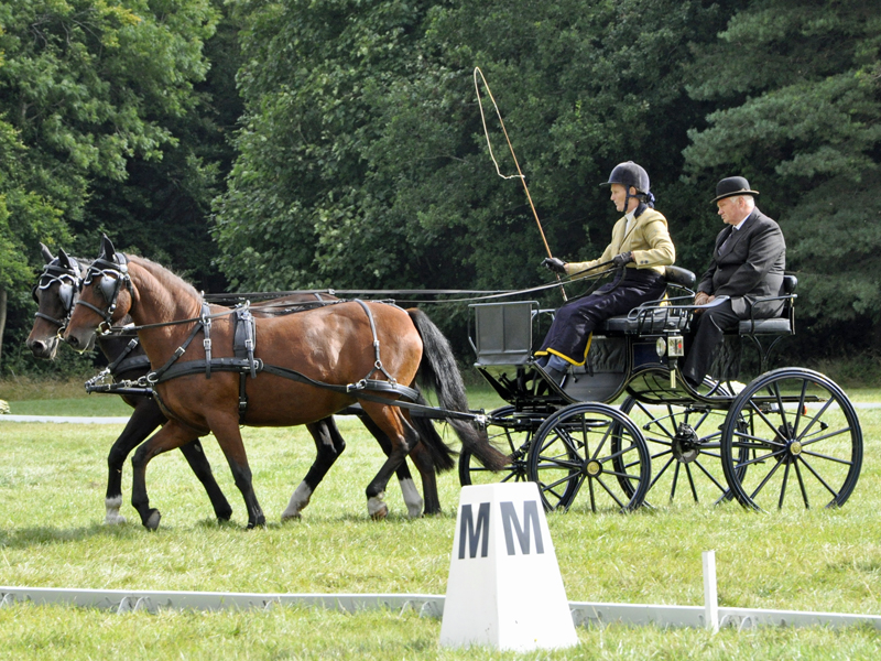 2016 - National Carriage Driving Championships - Bennington Carriages