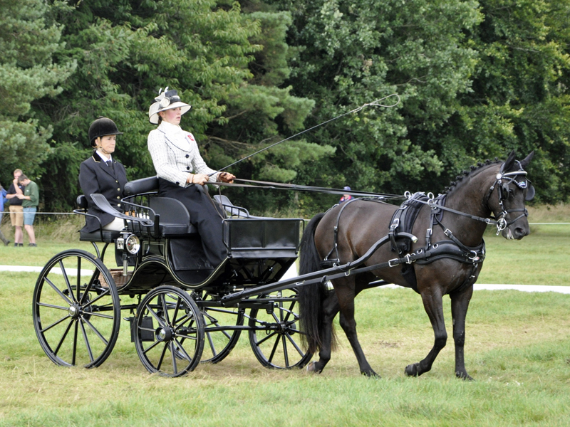 2016 - National Carriage Driving Championships - Bennington Carriages