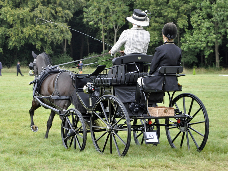 2016 - National Carriage Driving Championships - Bennington Carriages