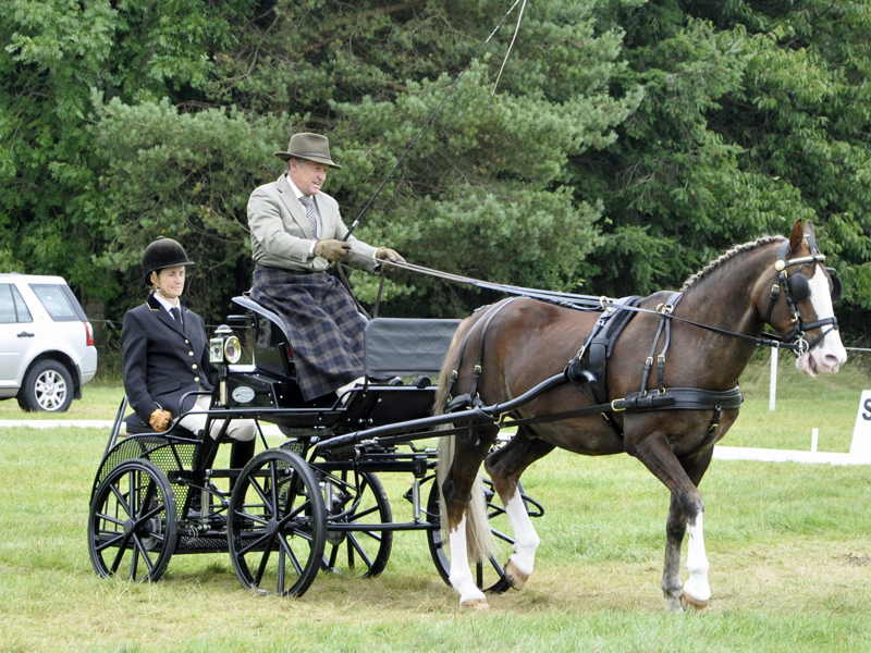 2016 - National Carriage Driving Championships - Bennington Carriages