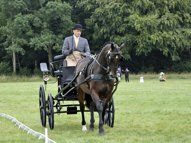 2016 - National Carriage Driving Championships - Bennington Carriages