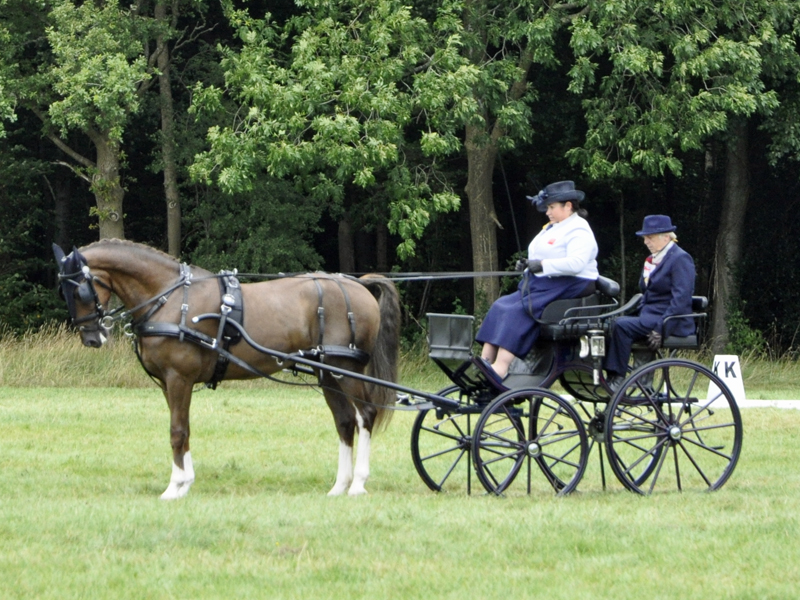 2016 - National Carriage Driving Championships - Bennington Carriages