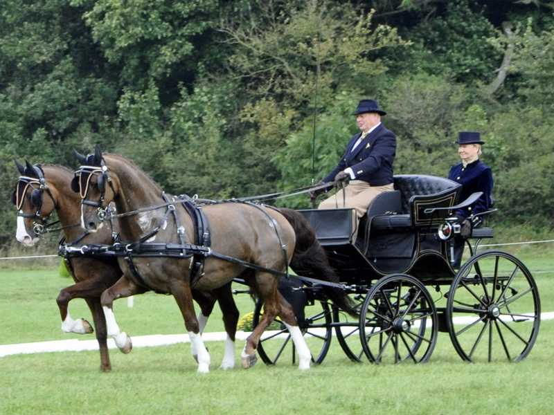 2016 - National Carriage Driving Championships - Bennington Carriages