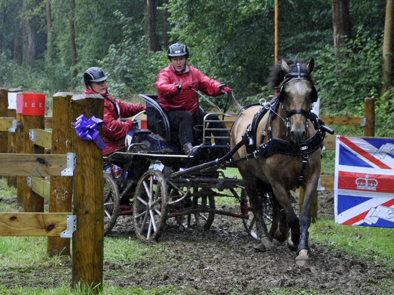 2016 - National Carriage Driving Championships - Bennington Carriages
