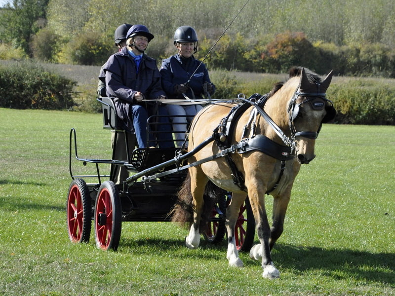 Introduction to Carriage Driving Photos - Bennington Carriages