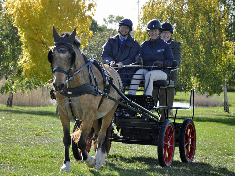 Introduction to Carriage Driving Photos - Bennington Carriages