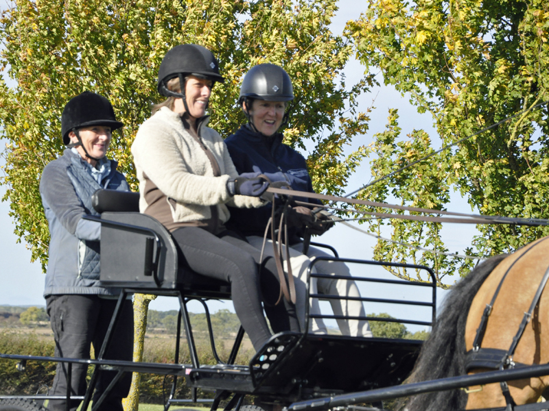 Introduction to Carriage Driving Photos - Bennington Carriages