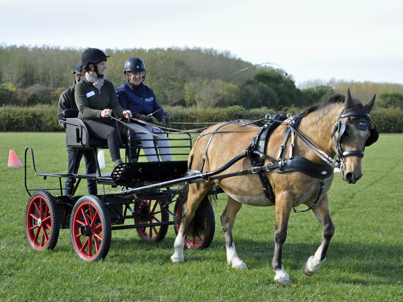 Introduction to Carriage Driving Photos - Bennington Carriages