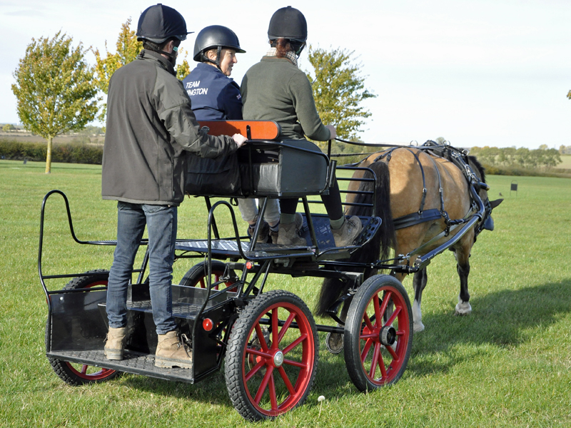 Introduction to Carriage Driving Photos - Bennington Carriages