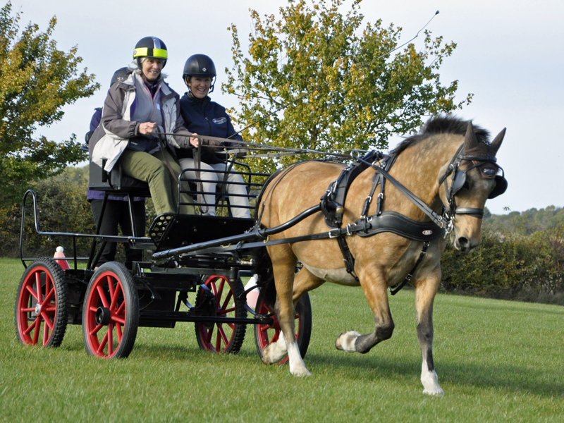 Introduction to Carriage Driving Photos - Bennington Carriages