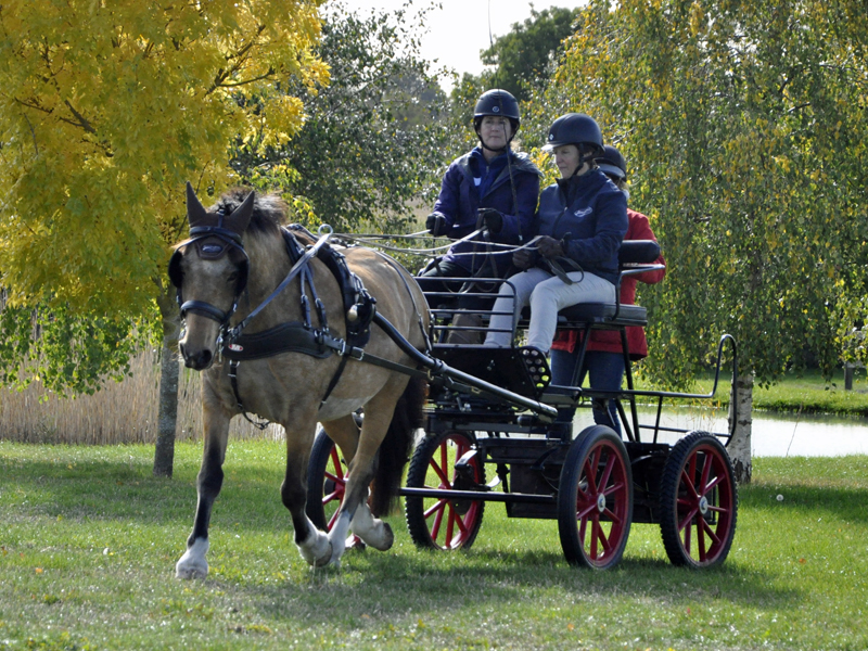Introduction to Carriage Driving Photos - Bennington Carriages