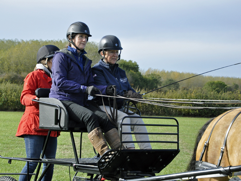 Introduction to Carriage Driving Photos - Bennington Carriages