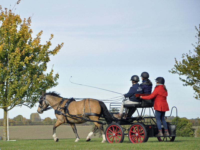 Introduction to Carriage Driving Photos - Bennington Carriages
