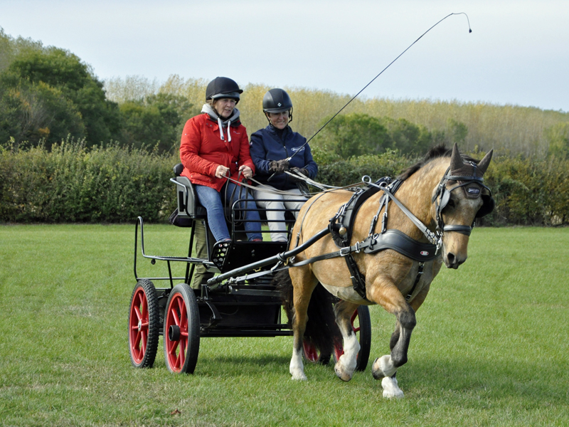 Introduction to Carriage Driving Photos - Bennington Carriages