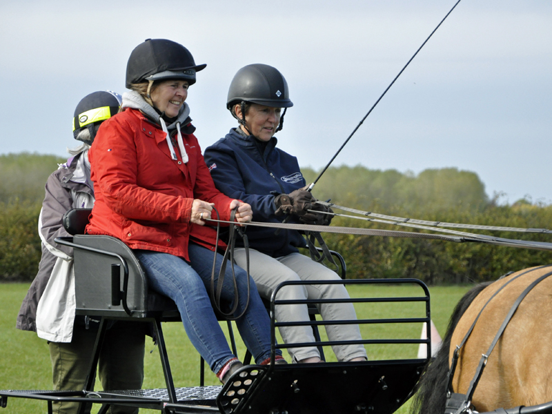 Introduction to Carriage Driving Photos - Bennington Carriages