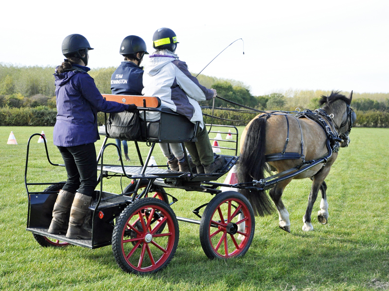 Introduction to Carriage Driving Photos - Bennington Carriages