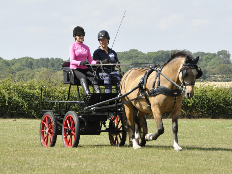 Try Driving August 2022 - Bennington Carriages