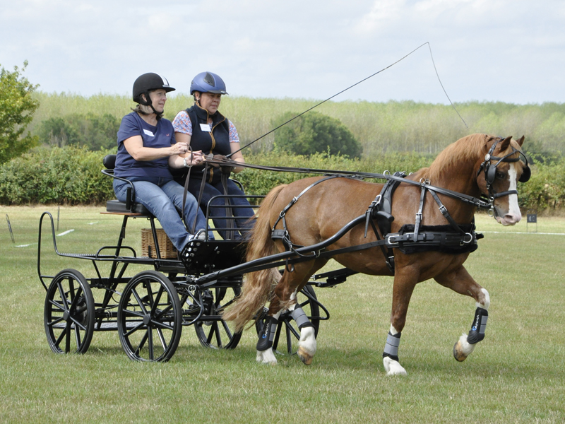 Try Driving August 2022 - Bennington Carriages