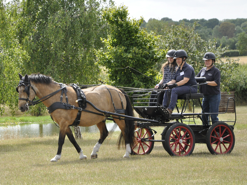 Try Driving August 2022 - Bennington Carriages