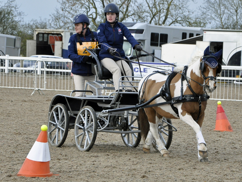 2023 Indoor Carriage Driving Championships Arena UK - Bennington Carriages