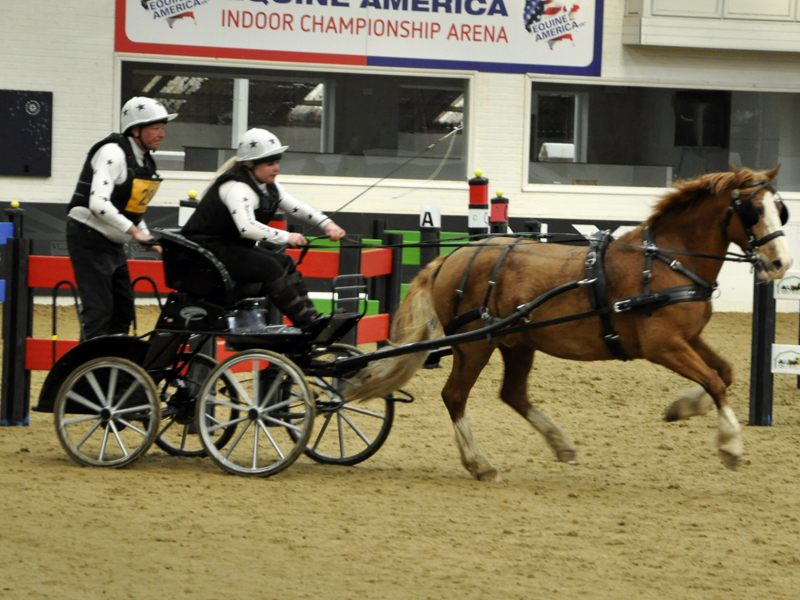2023 Indoor Carriage Driving Championships Arena UK - Bennington Carriages