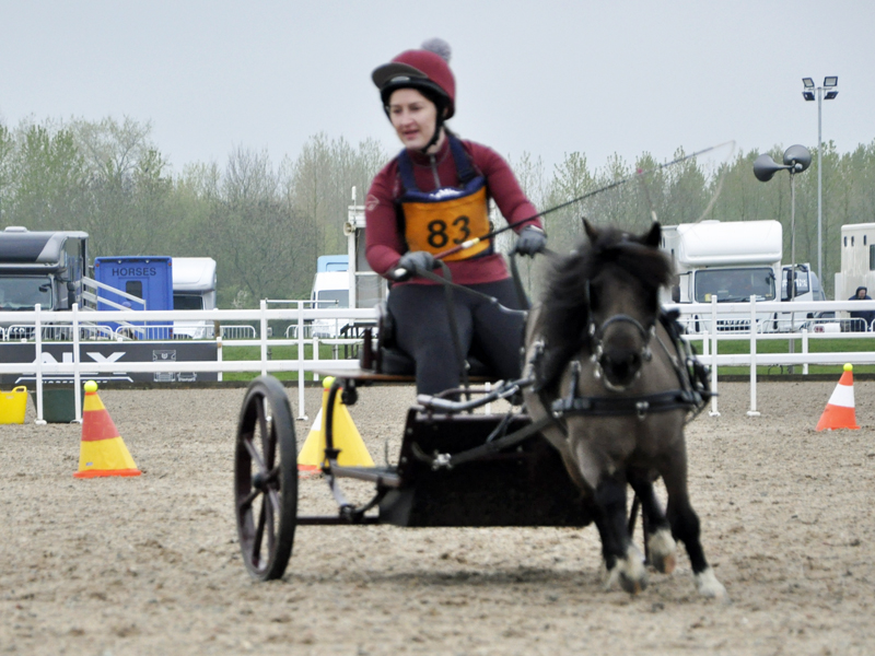 2023 Indoor Carriage Driving Championships Arena UK - Bennington Carriages