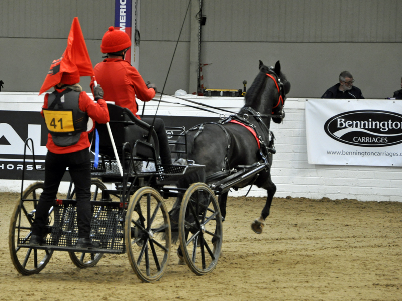 2023 Indoor Carriage Driving Championships Arena UK - Bennington Carriages