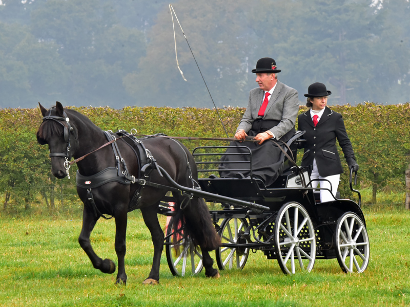 Bennington Carriages - Osberton Driving Trials 2019 - Bennington Carriages