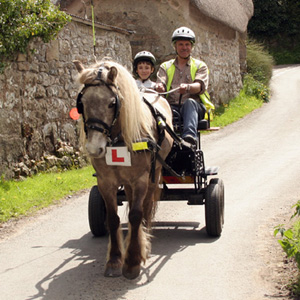 Fun Bug - Owners Stable - Bennington Carriages