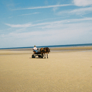 2009 Fun Bug - Bennington Carriages