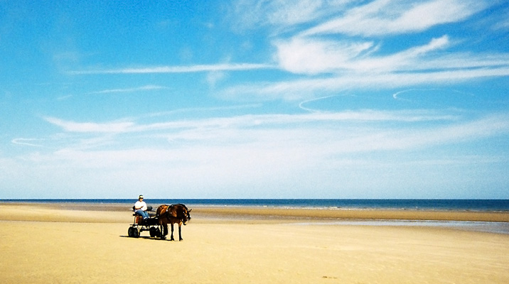 2009 Fun Bug - Bennington Carriages