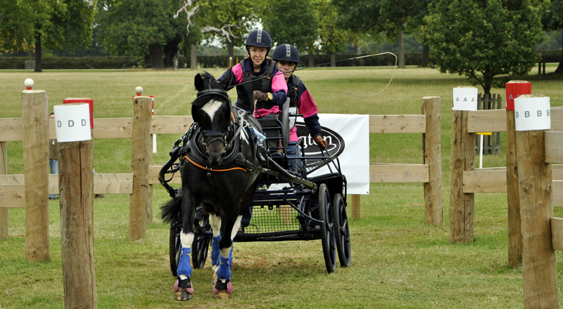 2010 National Carriage Driving Championships - Bennington Carriages