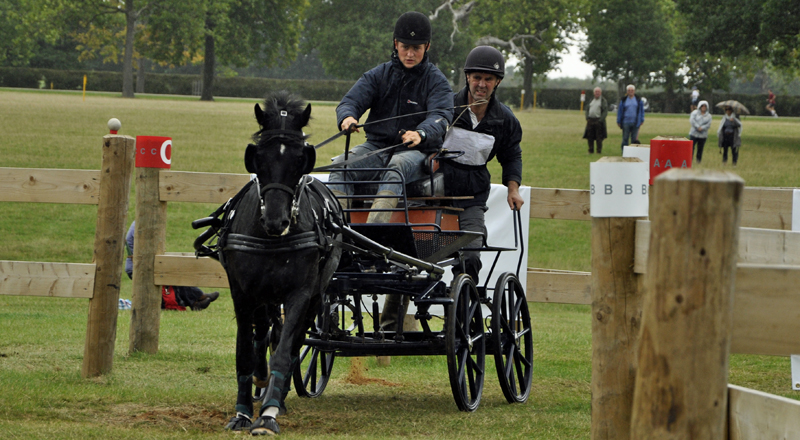 2010 National Carriage Driving Championships - Bennington Carriages