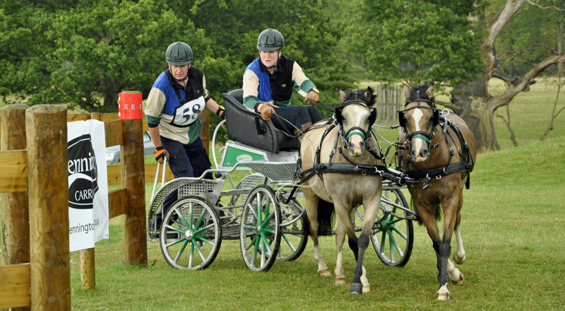 2010 National Carriage Driving Championships - Bennington Carriages