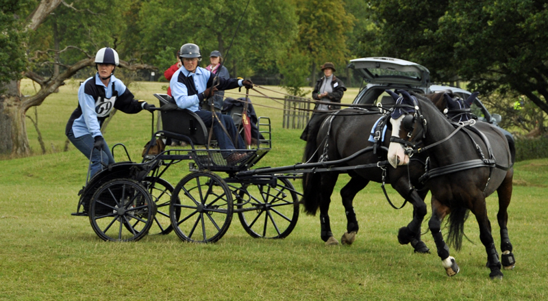 2010 National Carriage Driving Championships - Bennington Carriages