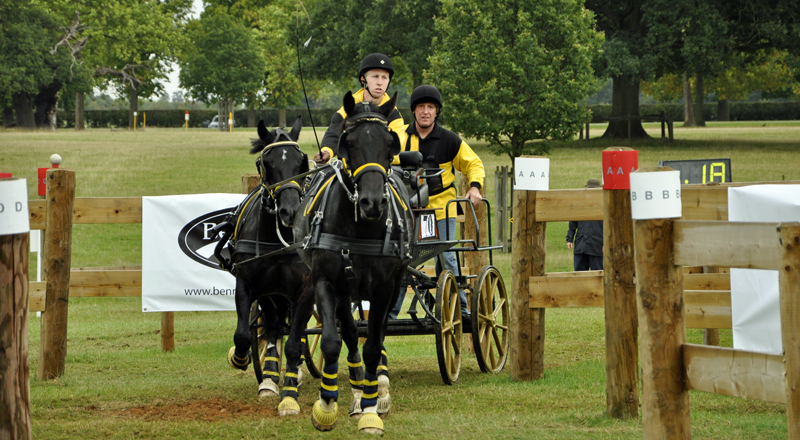 2010 National Carriage Driving Championships - Bennington Carriages