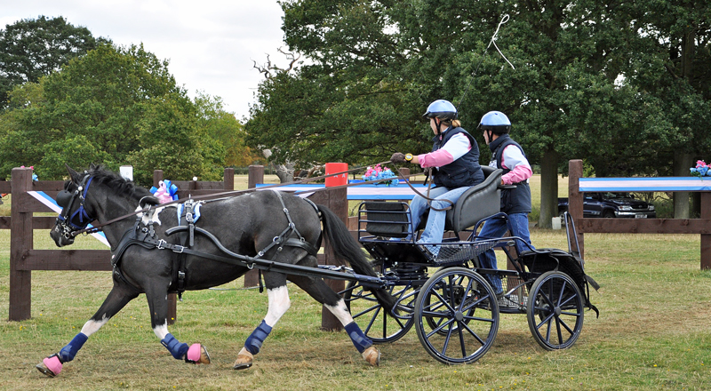 2009 National Carriage Driving Championships - Bennington Carriages
