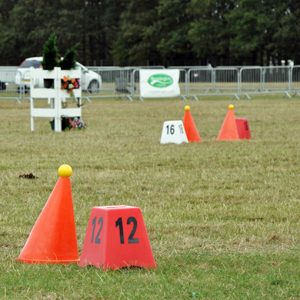 2009 National Carriage Driving Championships - Bennington Carriages