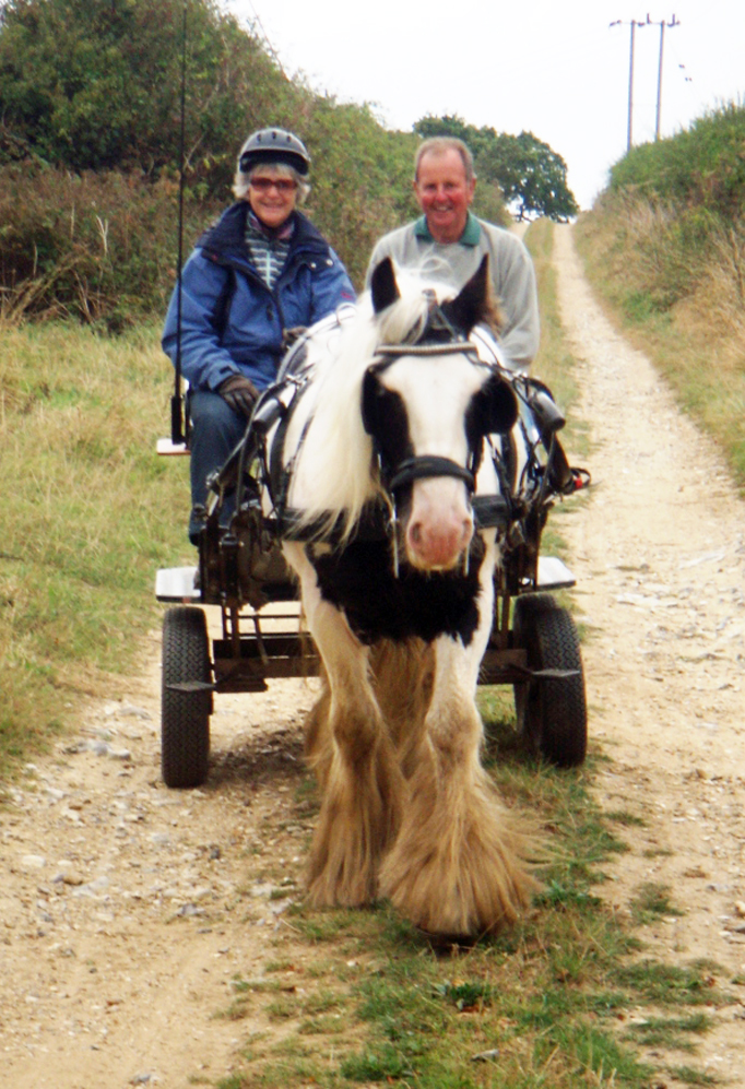 2009 Fun Bug - Bennington Carriages