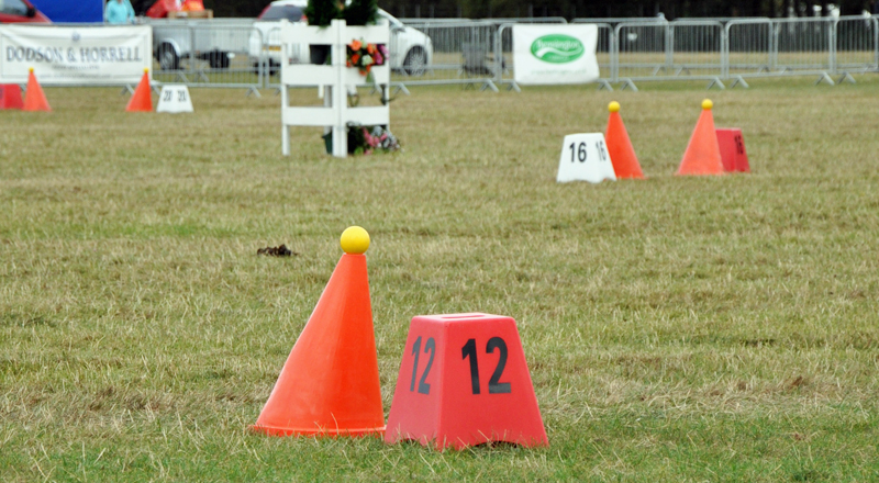 2009 National Carriage Driving Championships - Bennington Carriages