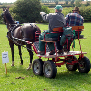 2009 Fun Bug - Bennington Carriages