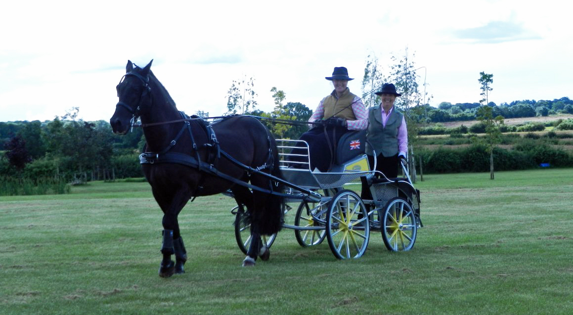 2012 - Pleasure Driving - Bennington Carriages