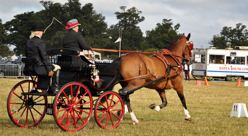 2009 National Carriage Driving Championships - Bennington Carriages