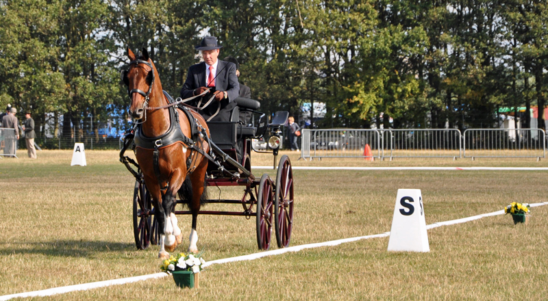 2009 National Carriage Driving Championships - Bennington Carriages